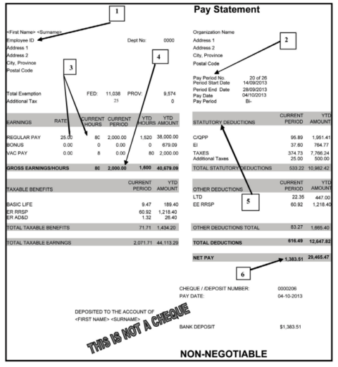 Pay Statement Explainer | Own Your Pay